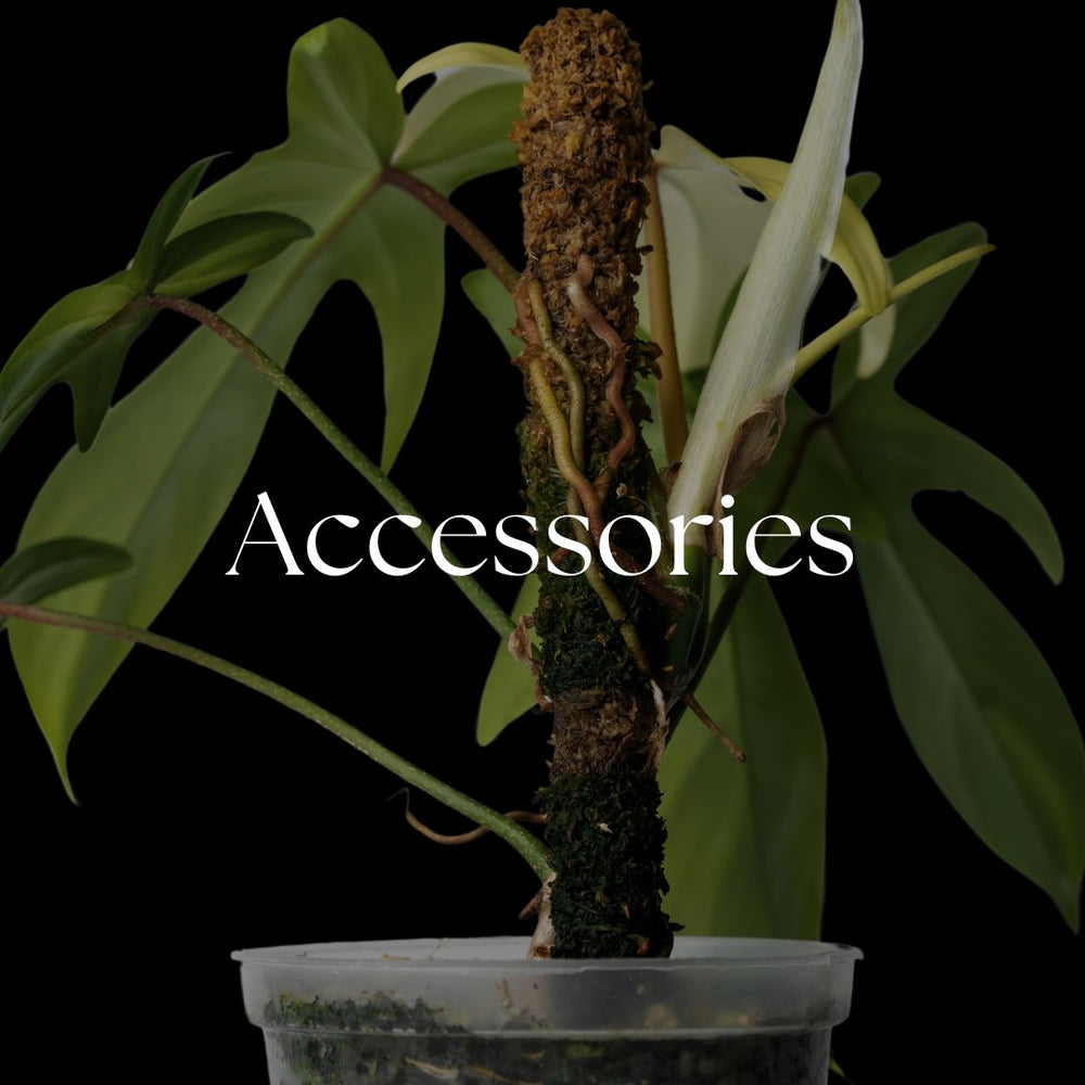 GrowCo Home – GrowCo Nursery