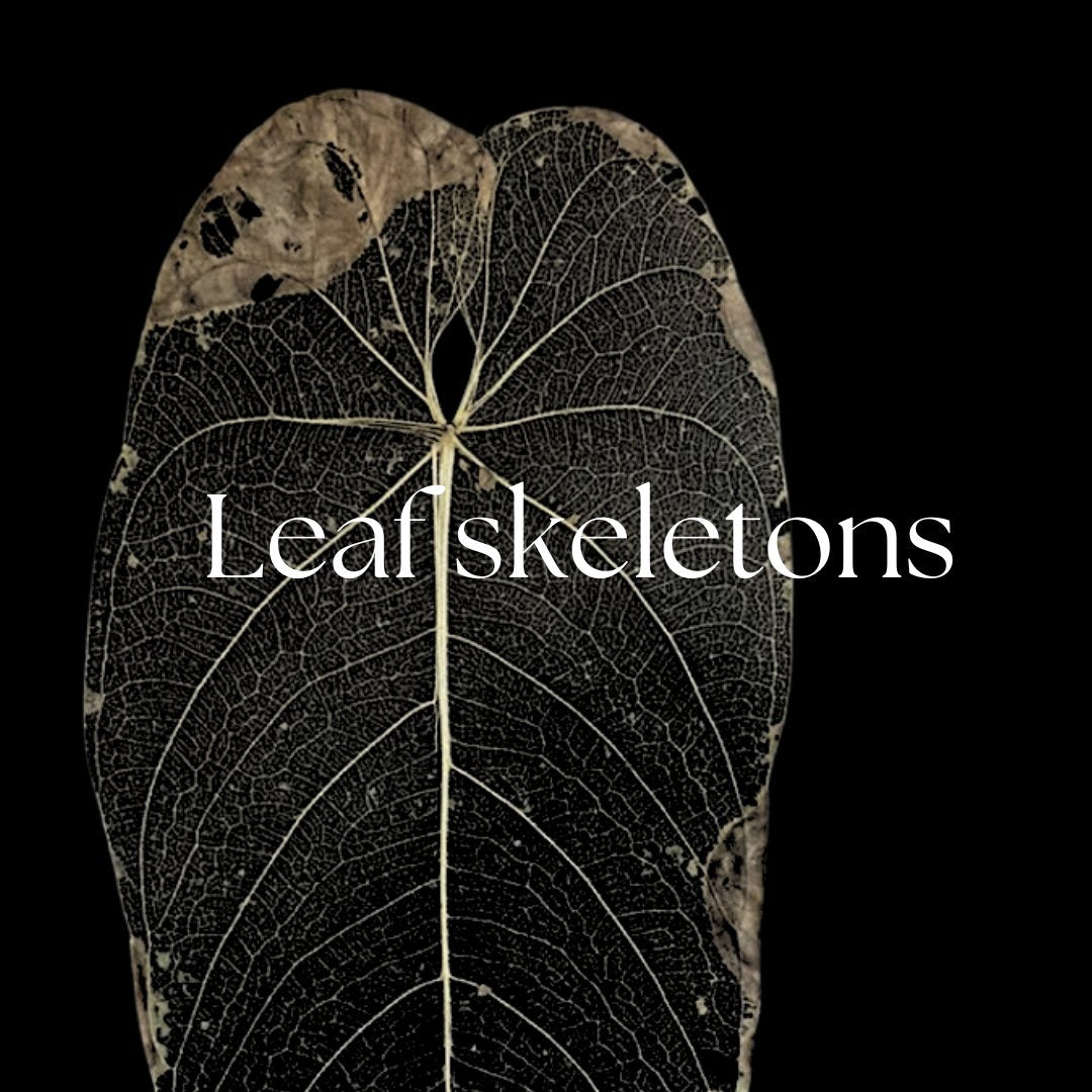 GrowCo Home – GrowCo Nursery