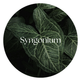 GrowCo Home – GrowCo Nursery