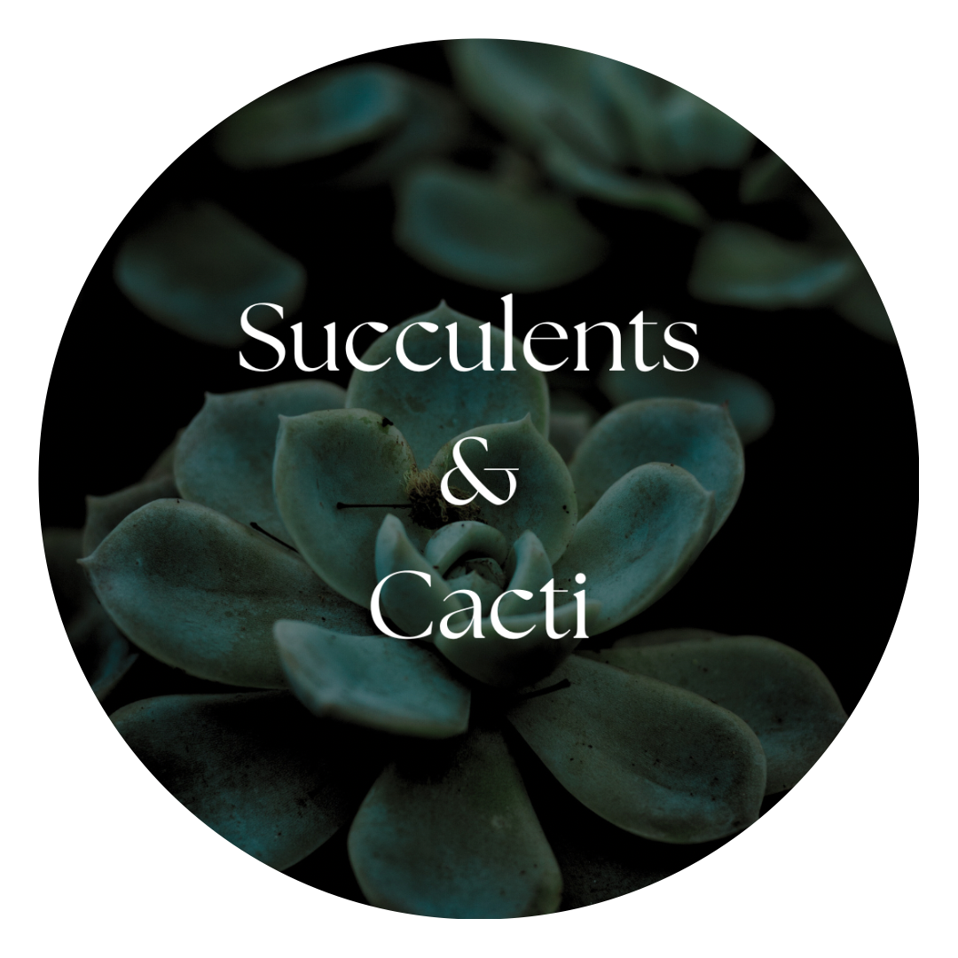 GrowCo Home – GrowCo Nursery