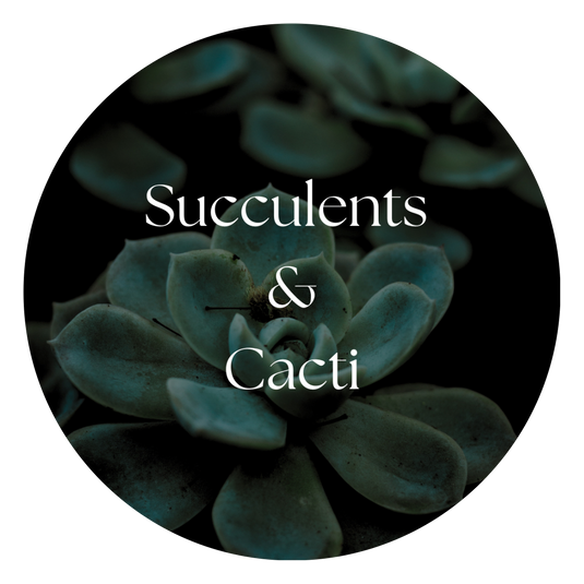 GrowCo Home – GrowCo Nursery