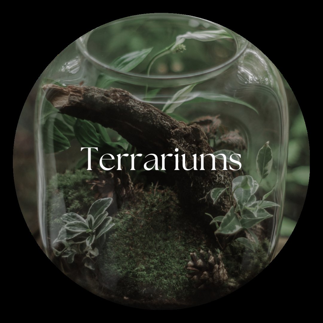 GrowCo Home – GrowCo Nursery