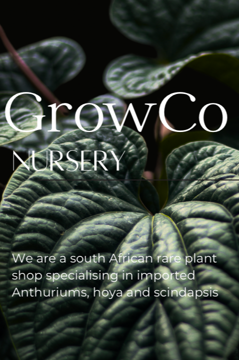 GrowCo Home – GrowCo Nursery