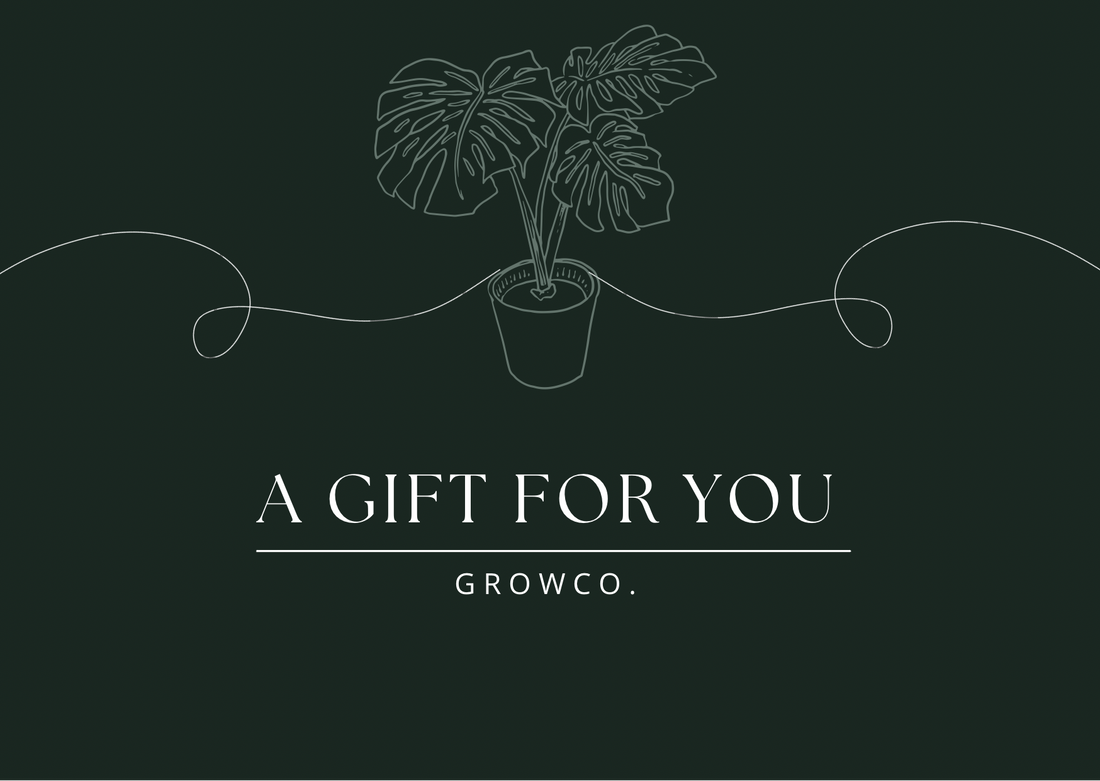 GrowCo Gift Card – GrowCo Nursery